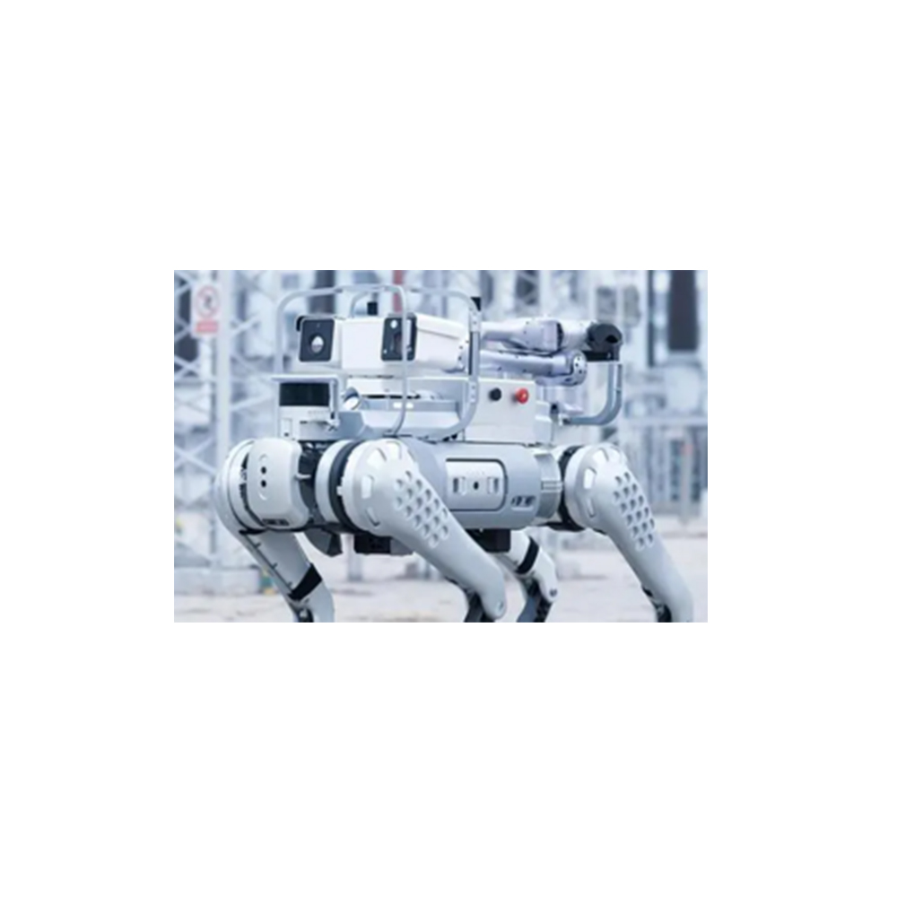 Heavy-Duty Rough-Terrain Legged Robot from China manufacturer - Ryan